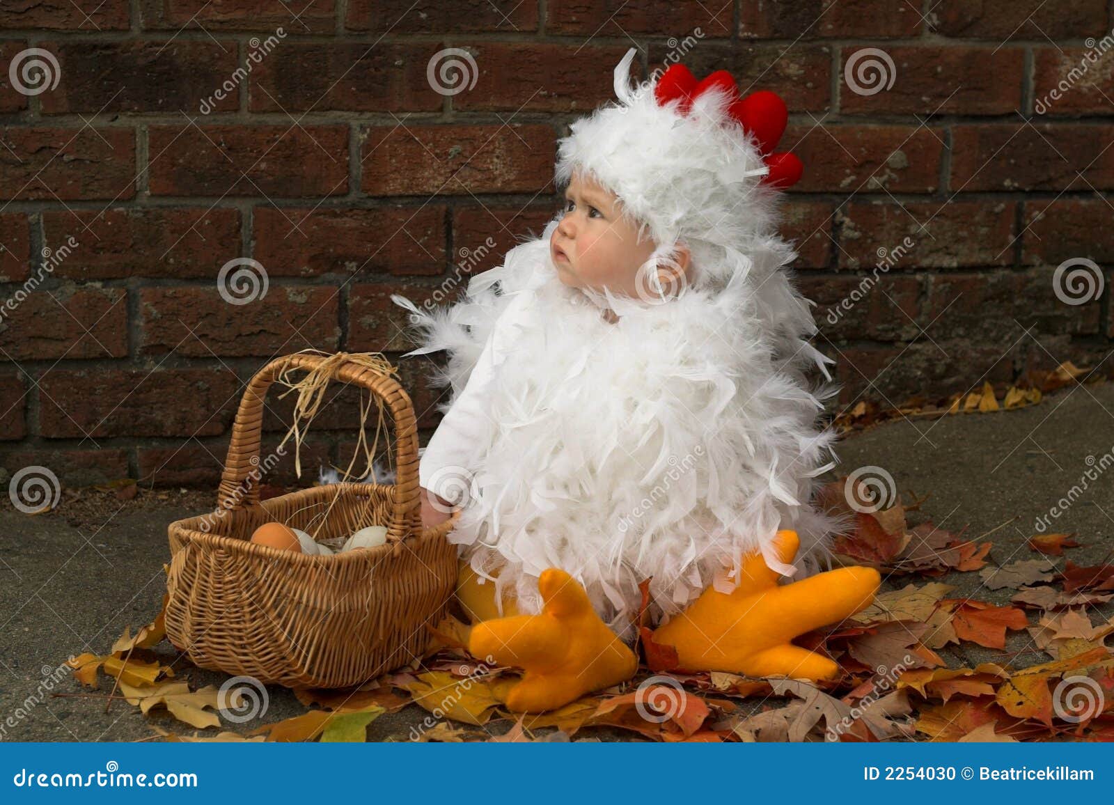 Pulcino Del Bambino Immagine. Immagine: 2254030