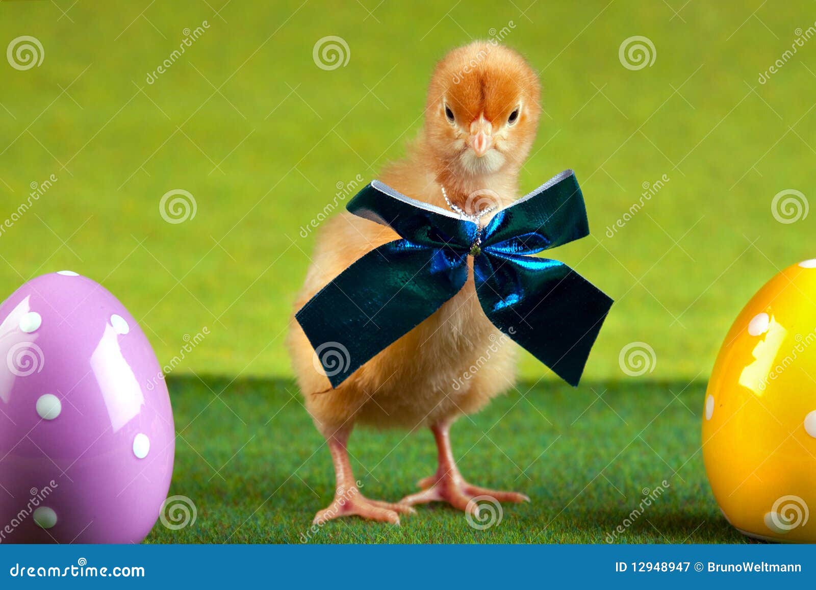 Pulcino ed uova di Pasqua immagine stock. Immagine di prato - 12948947