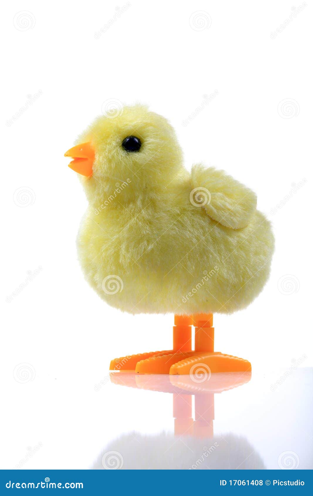 Pulcino giallo fotografia stock. Immagine di colpo, sfondo - 17061408