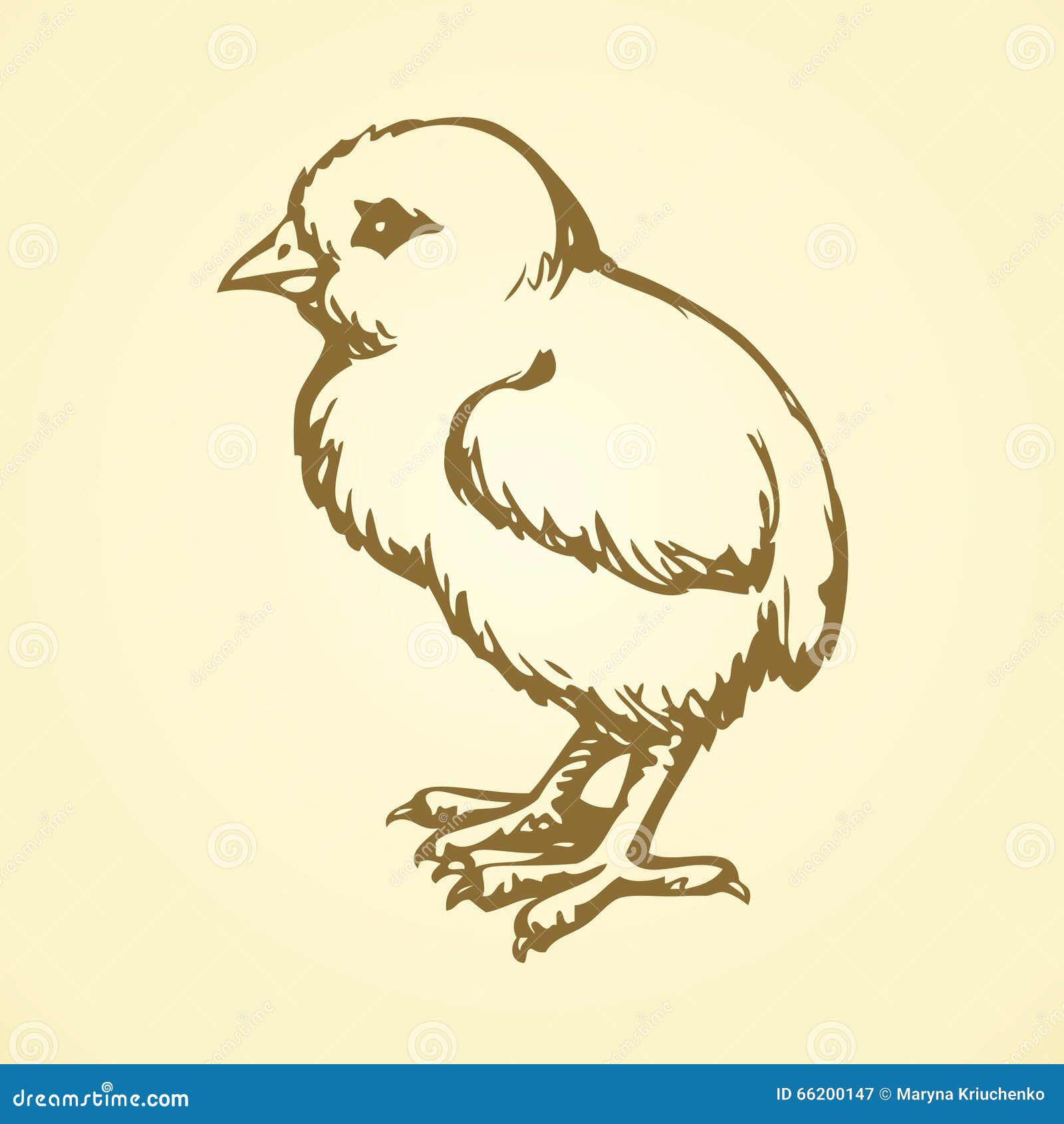 Pulcino Illustrazione Di Vettore Illustrazione Vettoriale ...