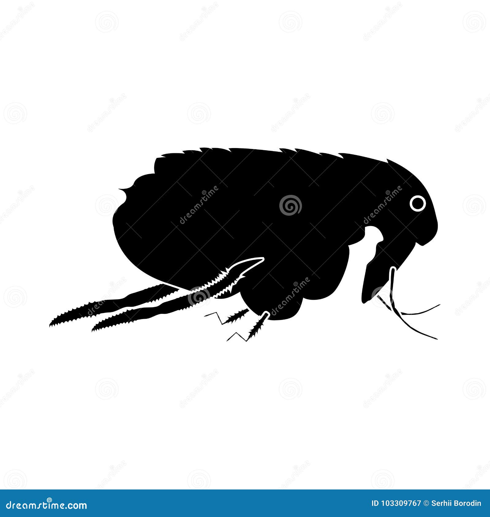 Pulga es icono negro ilustración del vector. Ilustración de peligro ...