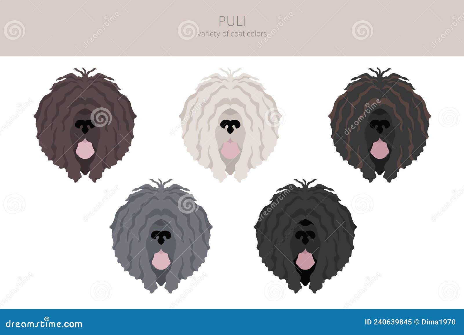 Puli Clipart. Different Poses, Coat Colors Set Stock Vector ...