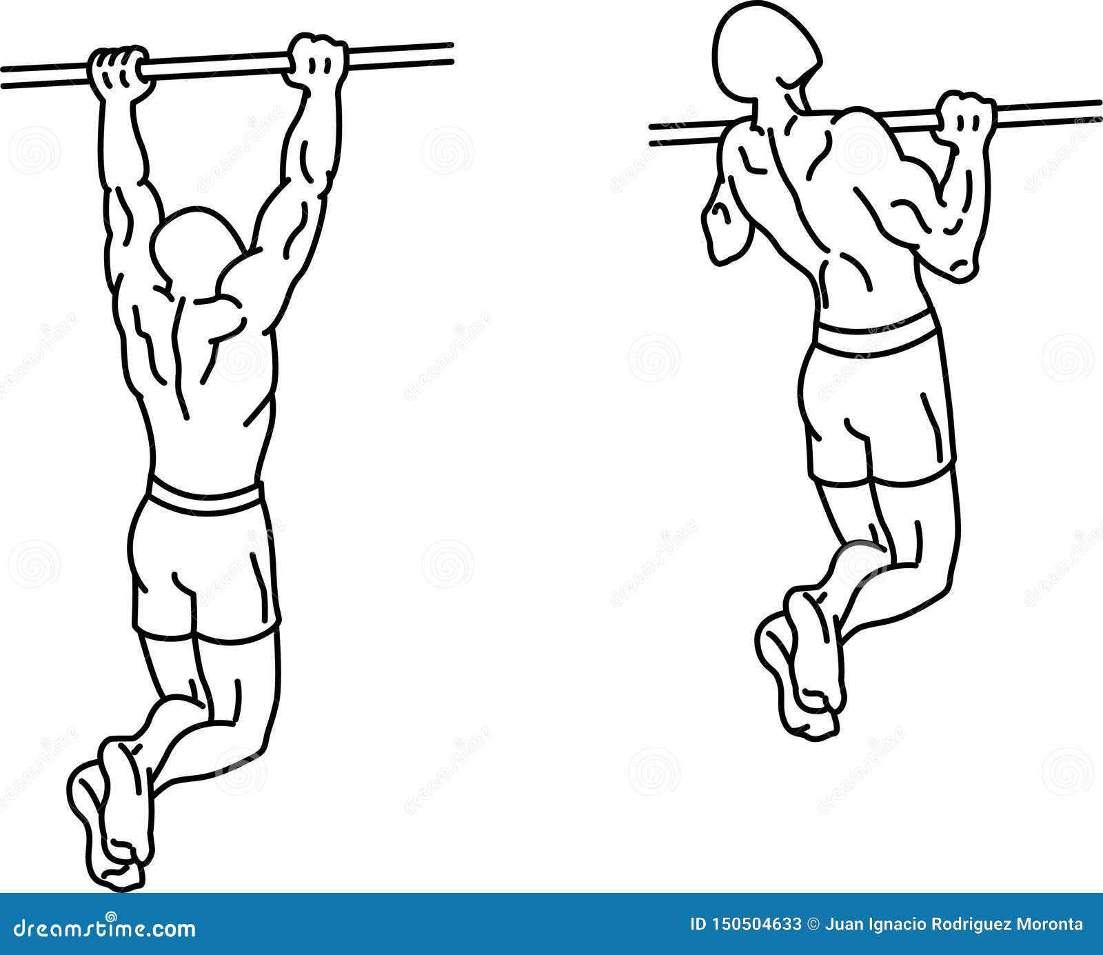 Pull Up. Exercises and Training with Weights Stock Vector ...
