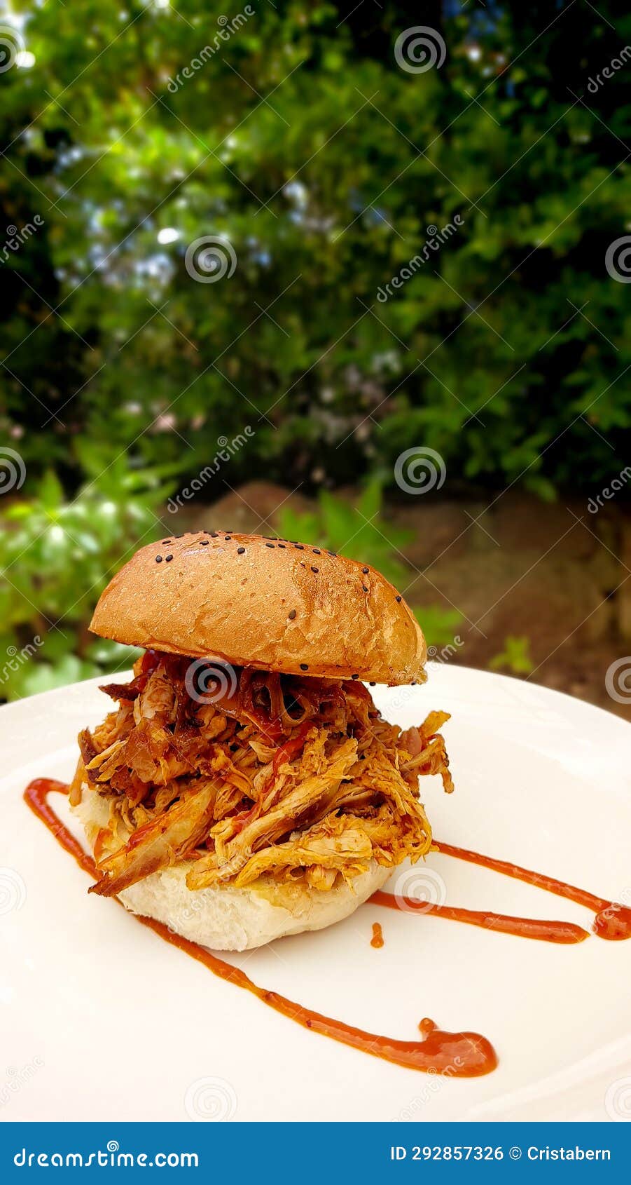 Pulled Chicken Burger on a Plate Stock Photo - Image of savory ...
