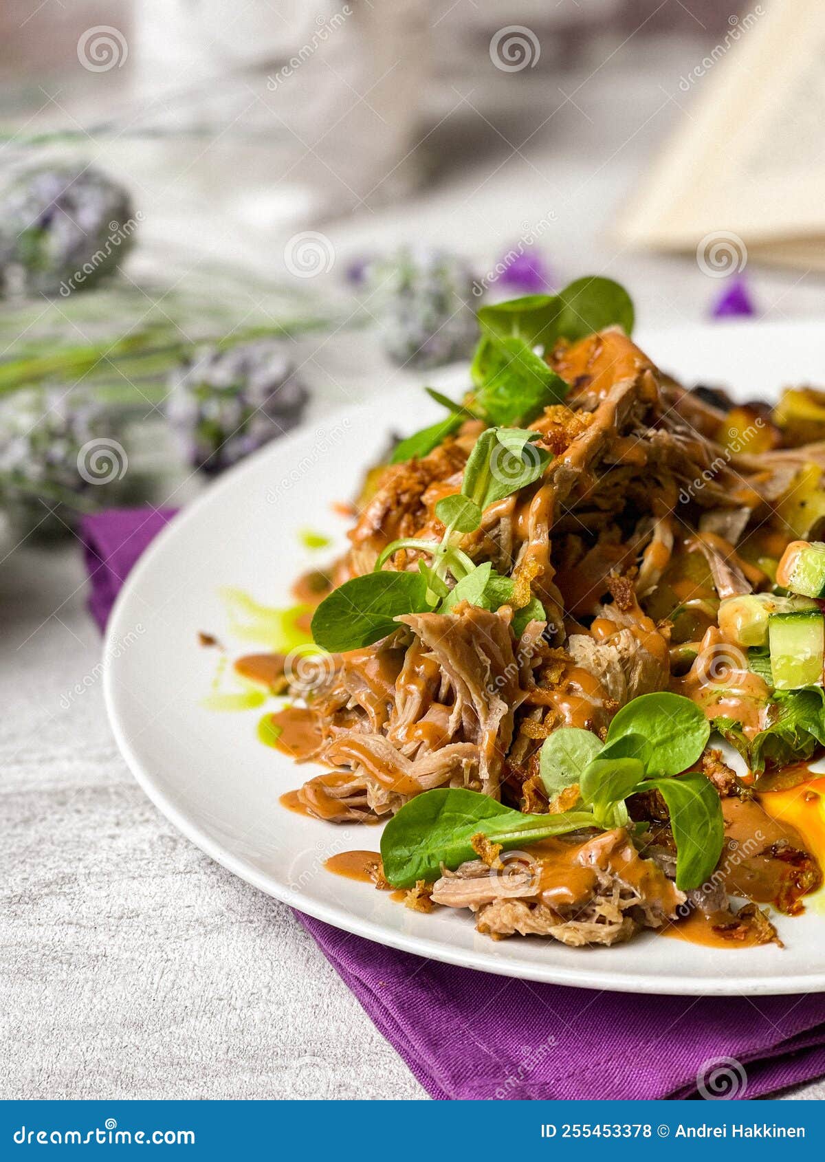 Pulled pork for lunch stock photo. Image of pork, lunch - 255453378
