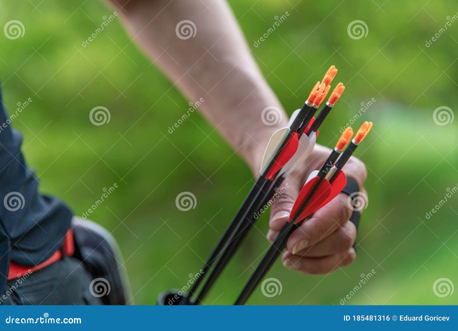 Pulling an Arrow Out of the Holster at Archery Races Stock Photo ...