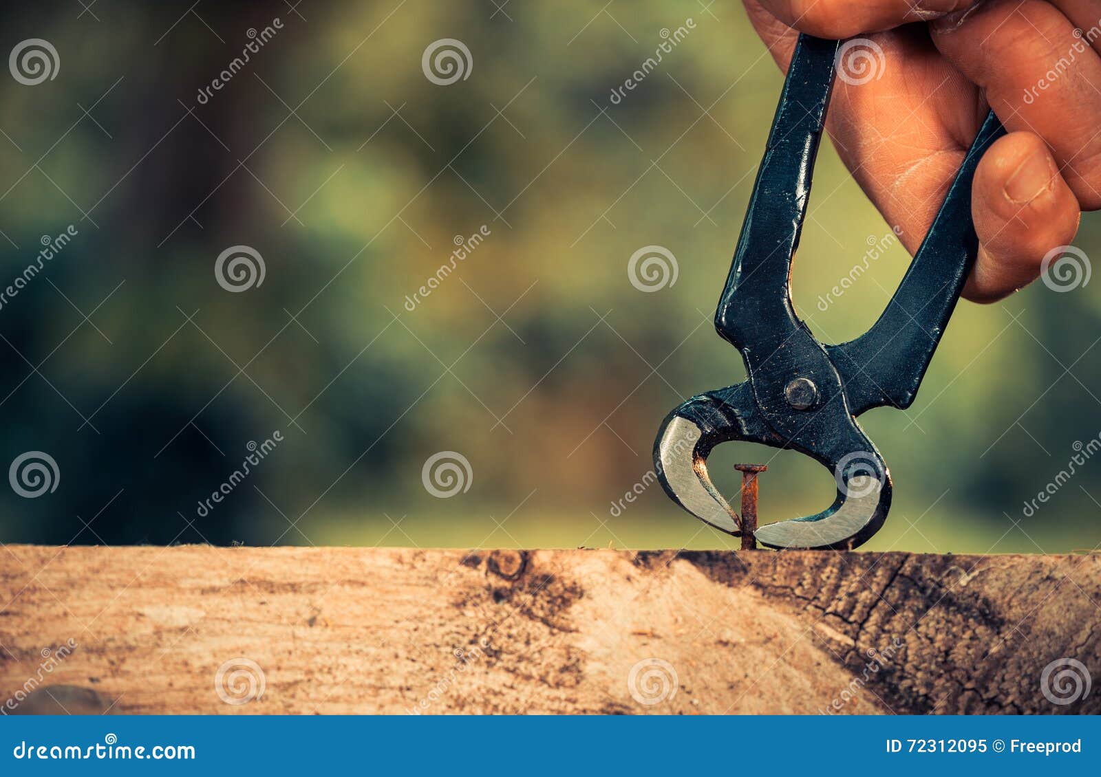 Pulling a Carpenter Tip on Wood with Pliers Stock Image - Image of work ...