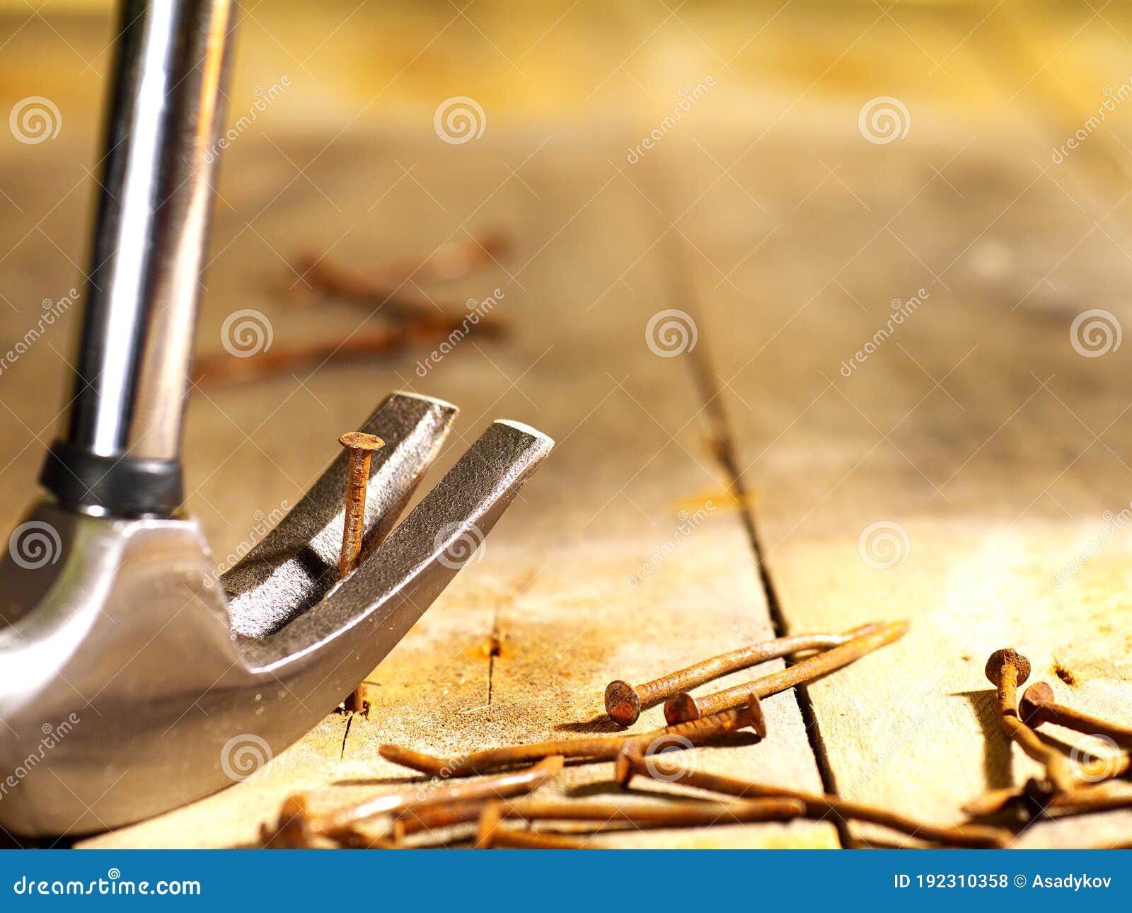 Pulling Out Old Rusty Nail with Carpenter`s Hammer Stock Photo - Image ...