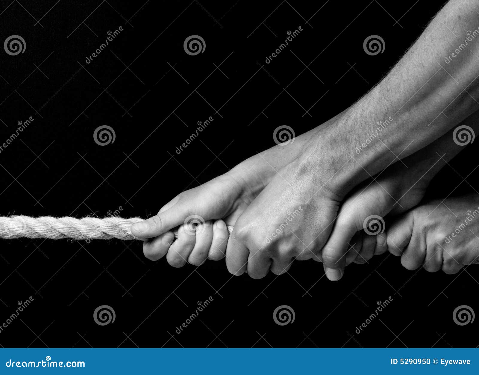 Pulling in the Same Direction Stock Photo - Image of holding ...