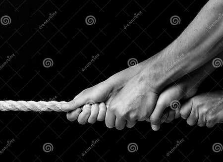 Pulling in the Same Direction Stock Photo - Image of holding ...