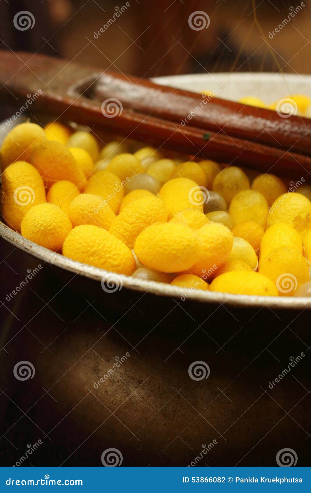 Pulling Silks from the Cocoon by Boiling. Stock Photo - Image of cocoon ...