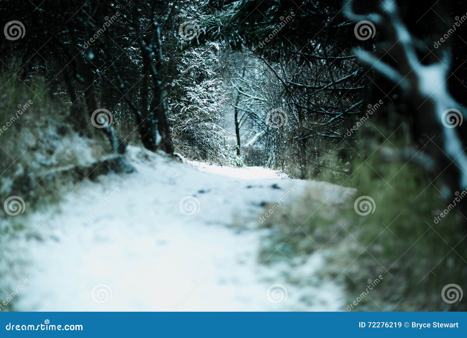 Pullman Washington stock image. Image of detail, amazon - 72276219