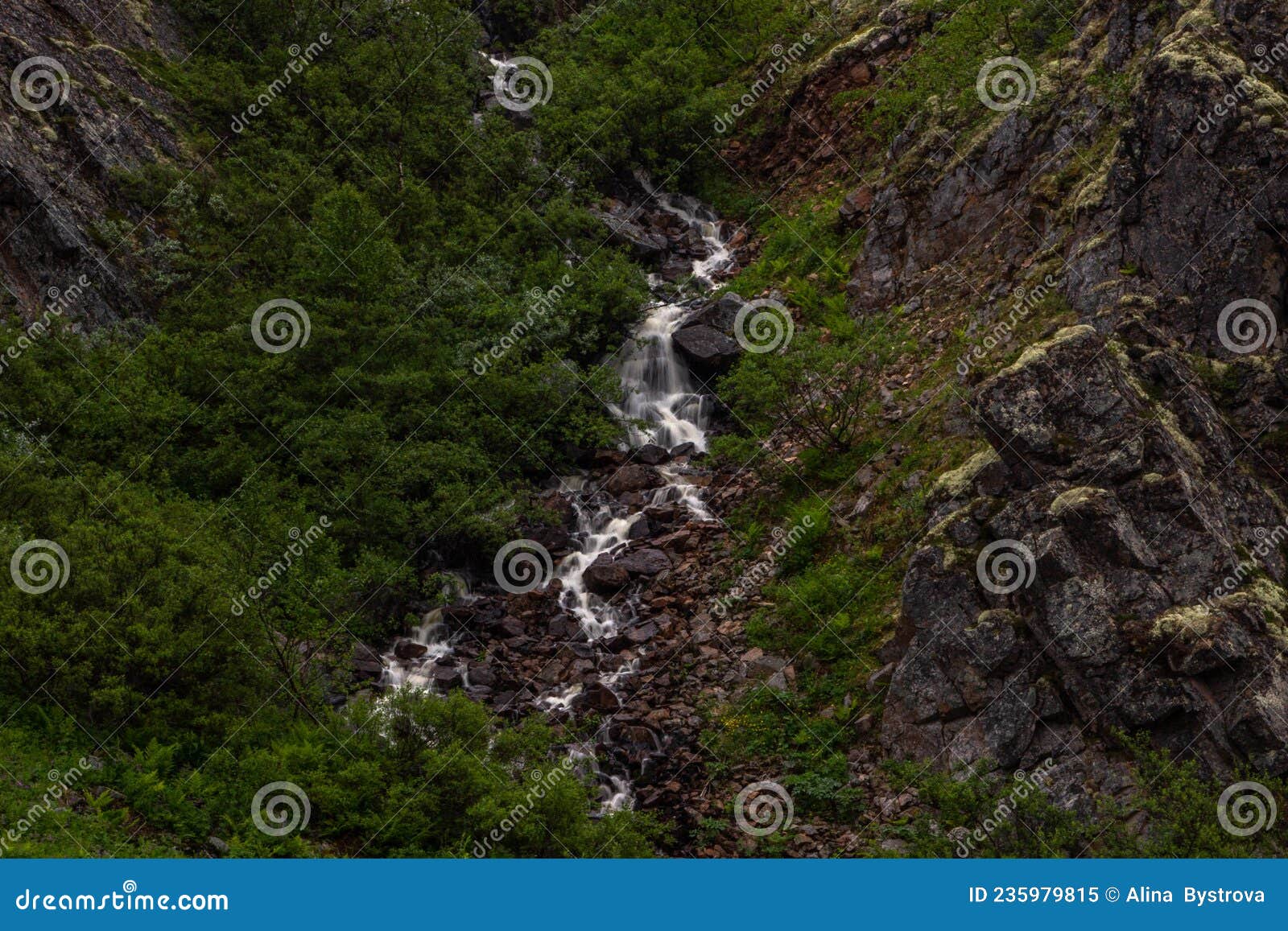 The Pulonga River is a Tributary of the Yokanga River. Stock Image ...