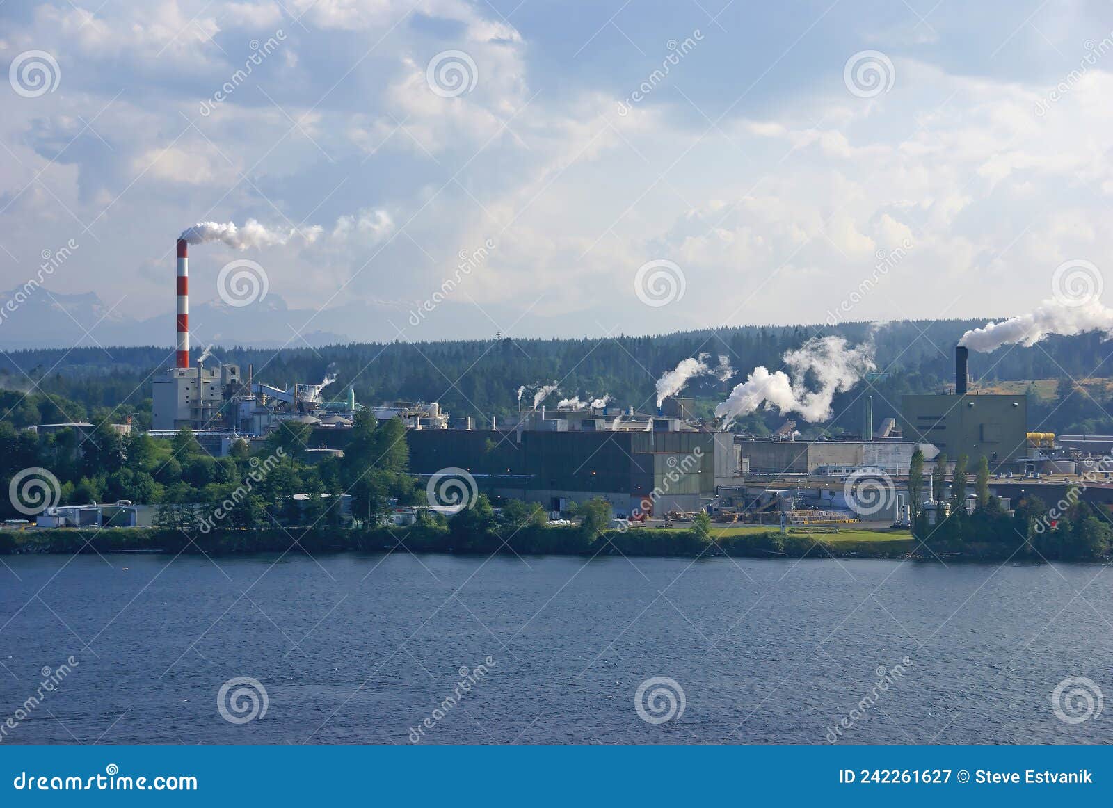 Pulp and paper mill stock image. Image of global, factory - 242261627