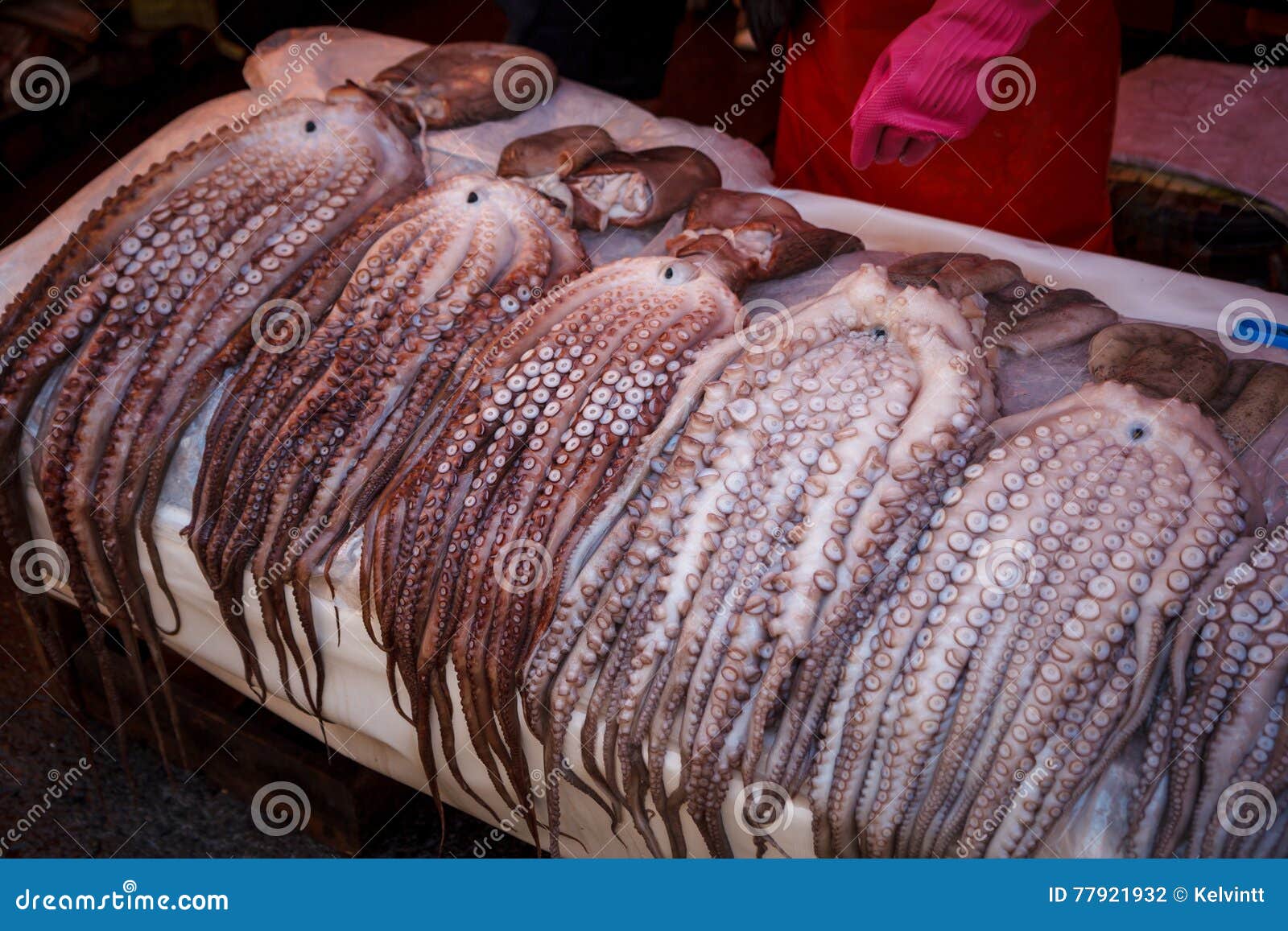 Pulpo crudo en el mercado foto de archivo. Imagen de mariscos - 77921932