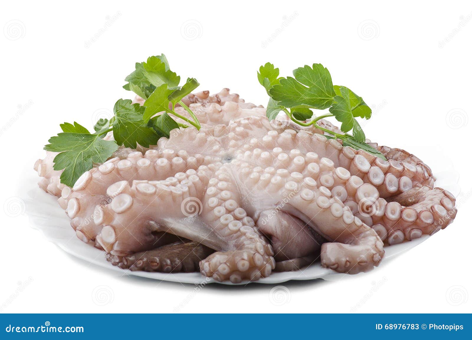 Pulpo fresco imagen de archivo. Imagen de alimento, cocinado - 68976783