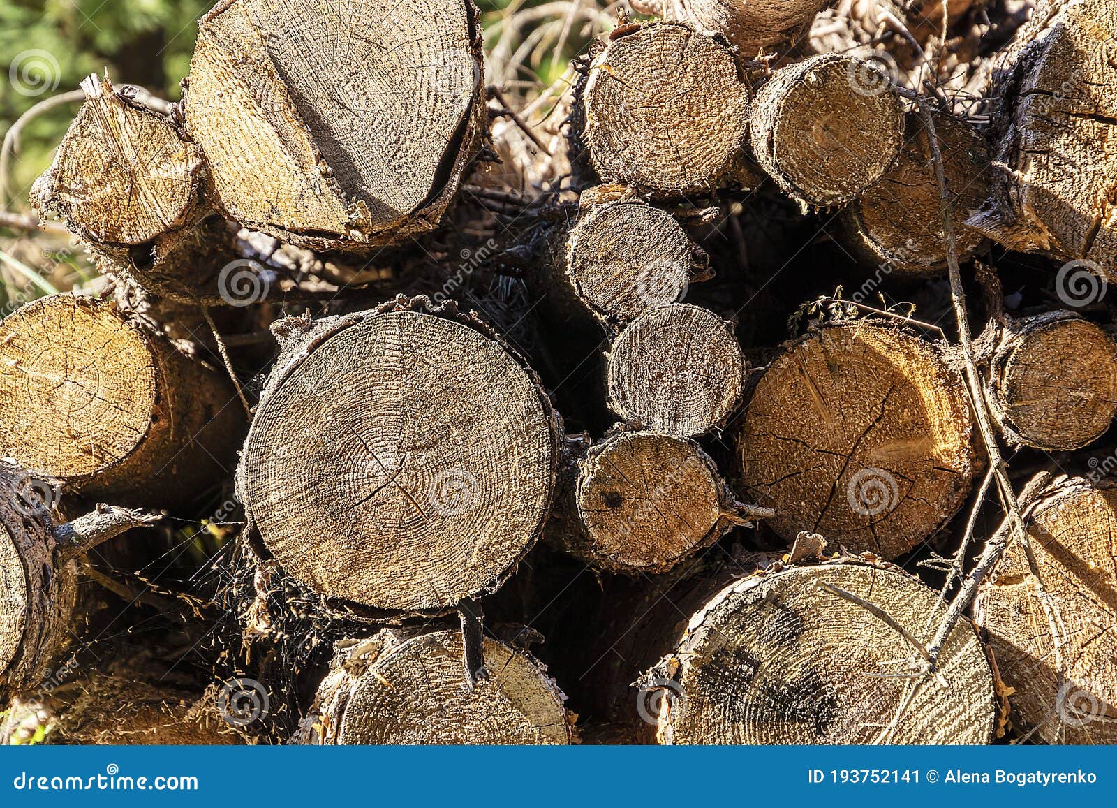 Pulpwood Stack From Worms Eye View Royalty-Free Stock Photo ...