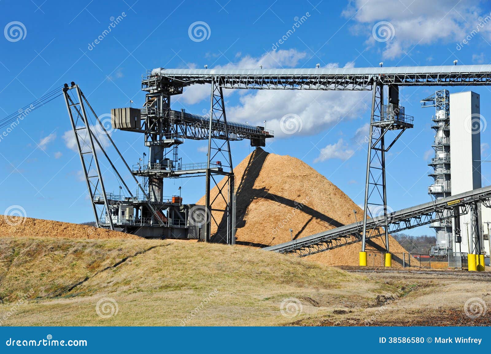 Pile Of Pulpwood In A Forest Royalty-Free Stock Photography ...