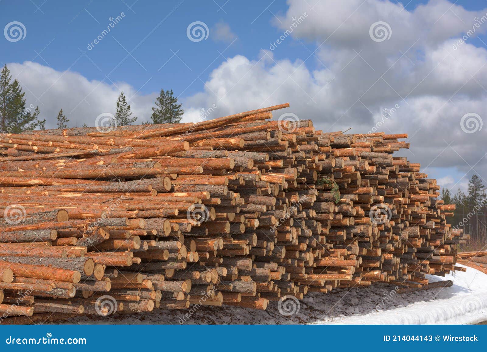Pulpwood Stacked on the Ground Under the Cloudy Sky Stock Image - Image ...
