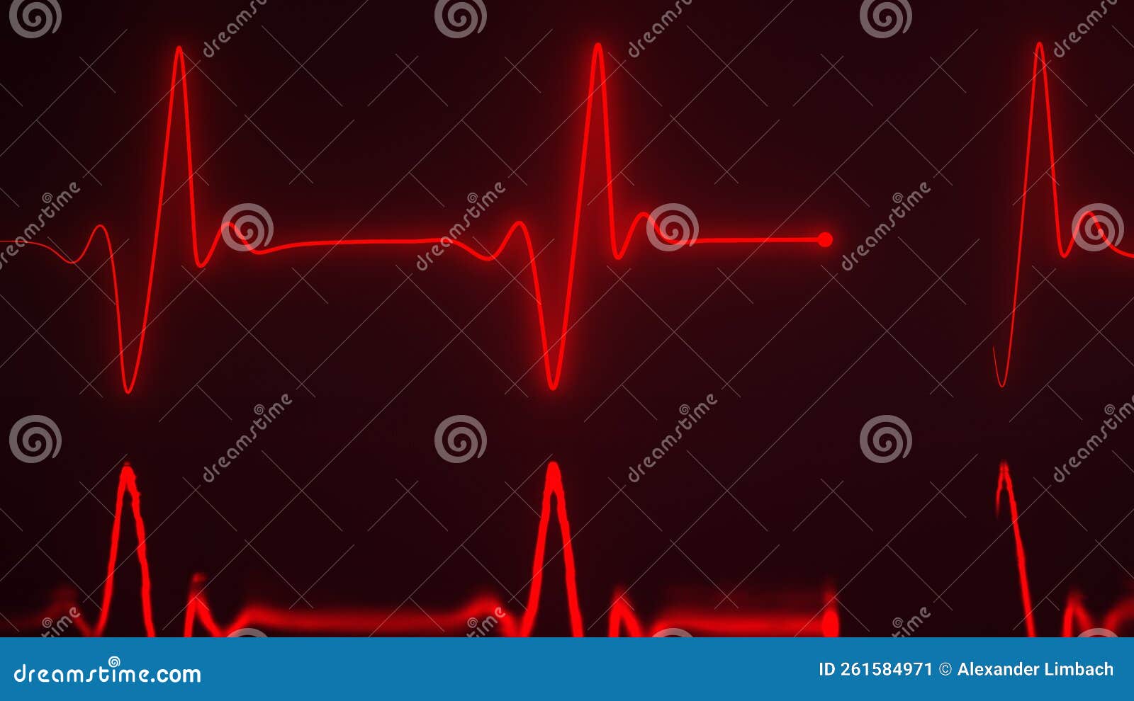 Pulse Curve stock illustration. Illustration of monitoring - 261584971