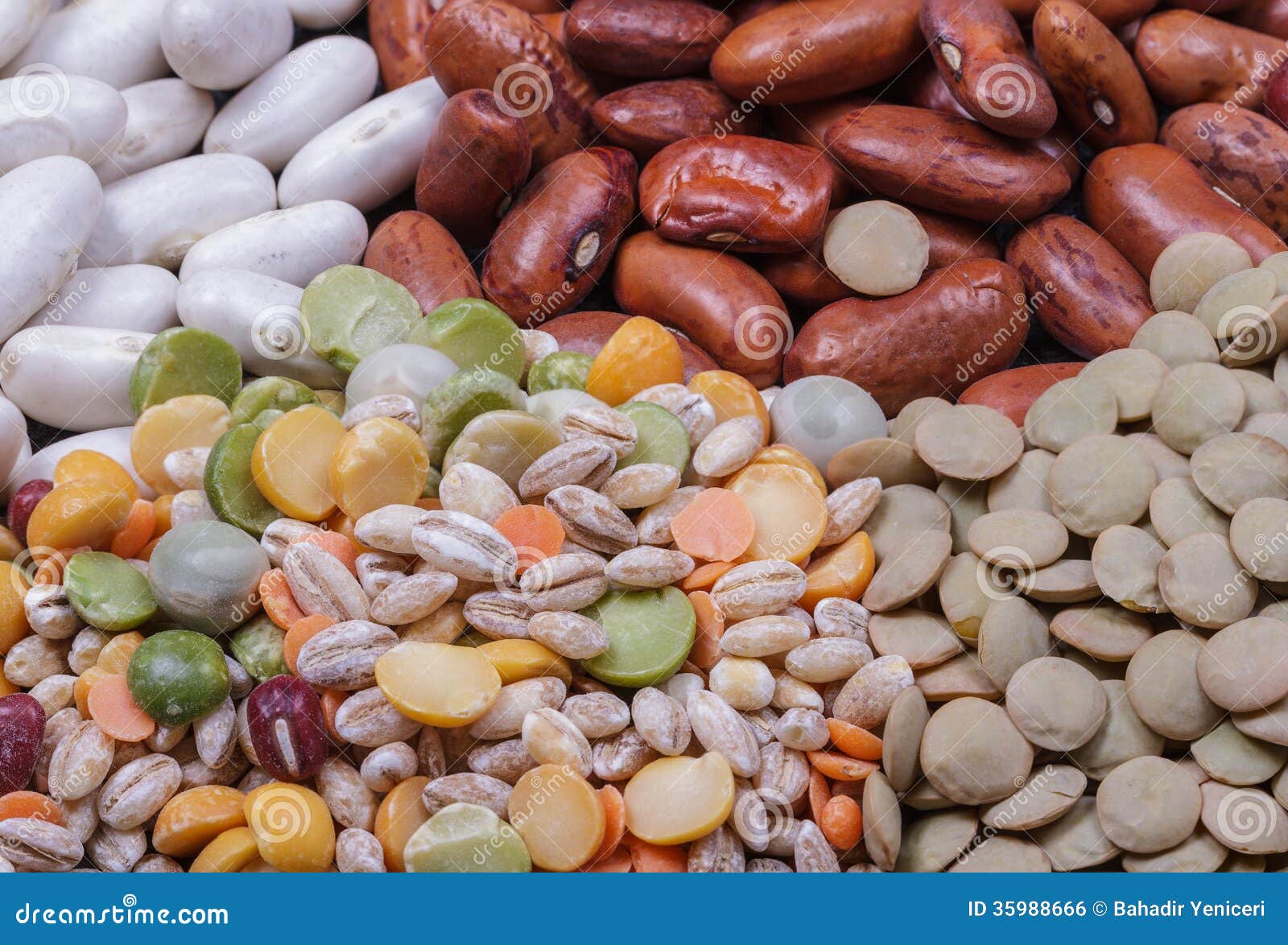 Pulse stock photo. Image of broad, ingredient, colourful - 35988666
