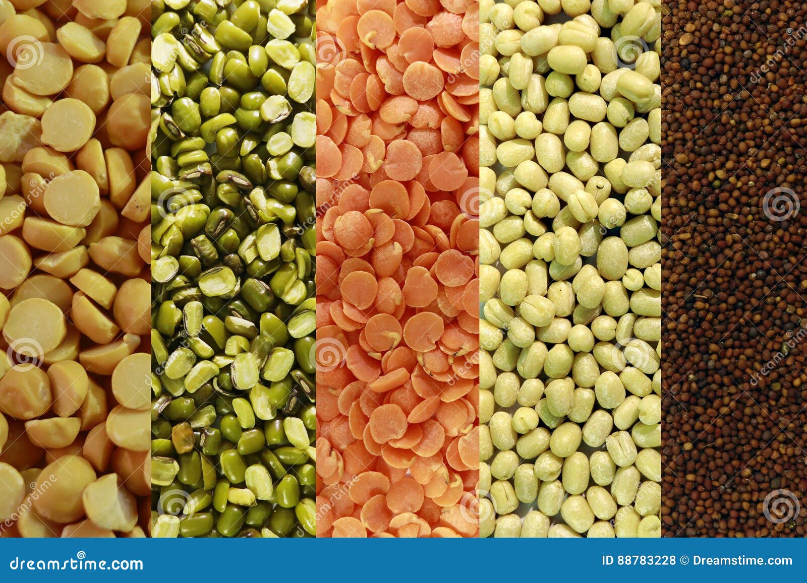 Pulse Spectrum stock photo. Image of pulse, gram, vertical - 88783228