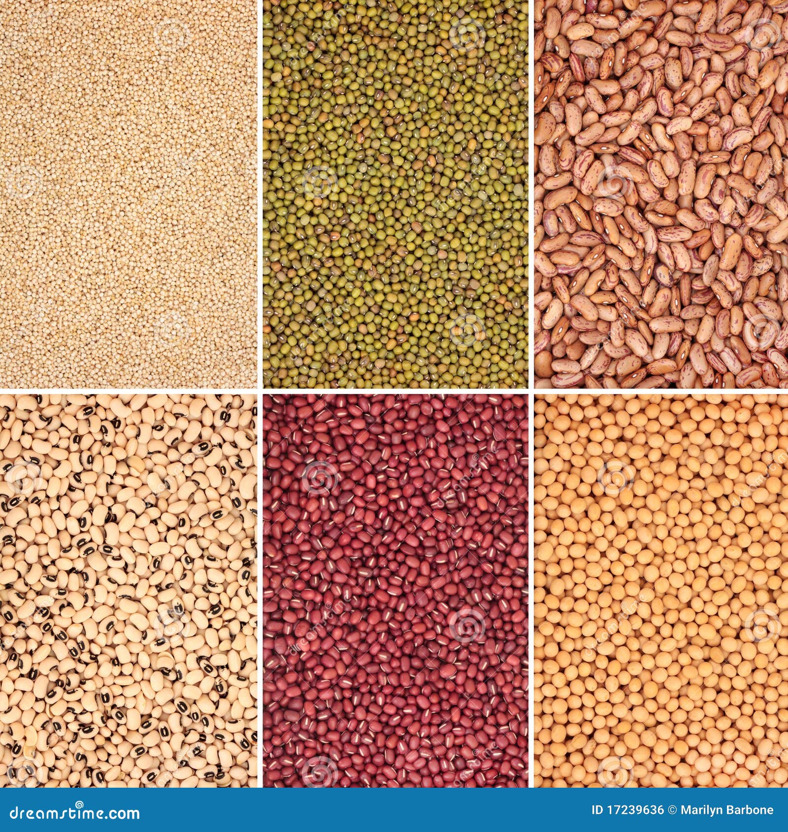 Pulses Collection On White Background Stock Photo | CartoonDealer.com ...