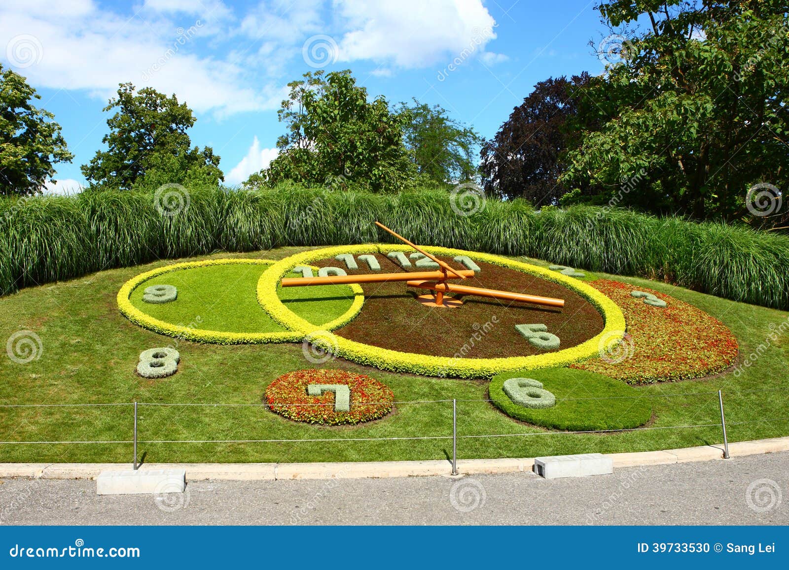 Pulso De Disparo Da Flor De Genebra Foto de Stock - Imagem de genebra ...