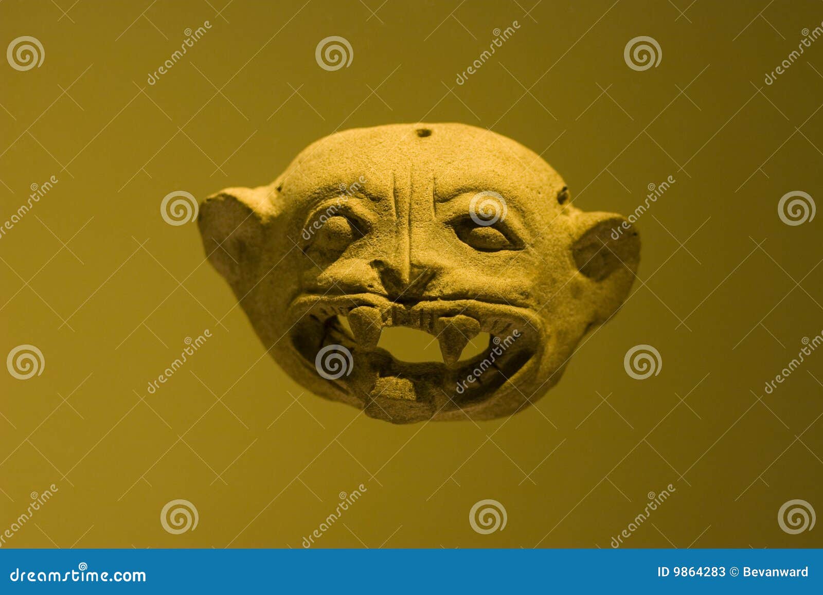 Puma head editorial stock photo. Image of artifact, teeth - 9864283