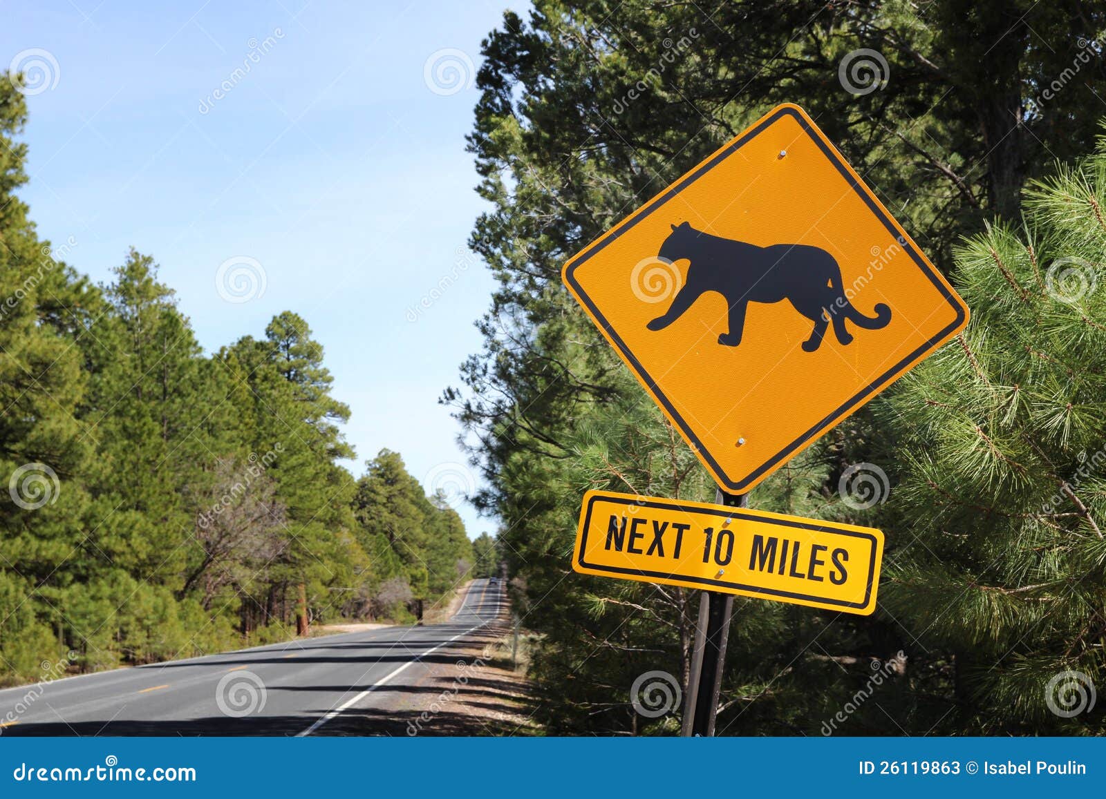 Puma road sign stock image. Image of animal, sign, crossing - 26119863