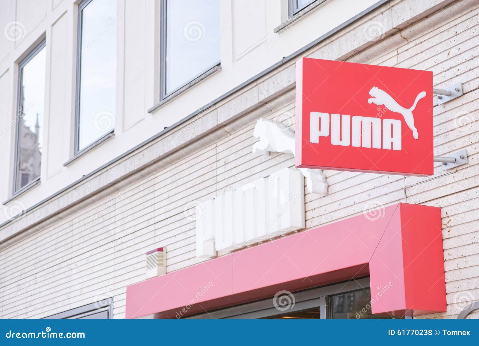 Puma editorial stock photo. Image of copyspace, puma - 61770238