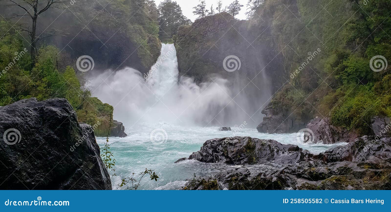 Puma waterfall stock photo. Image of forest, nature - 258505582