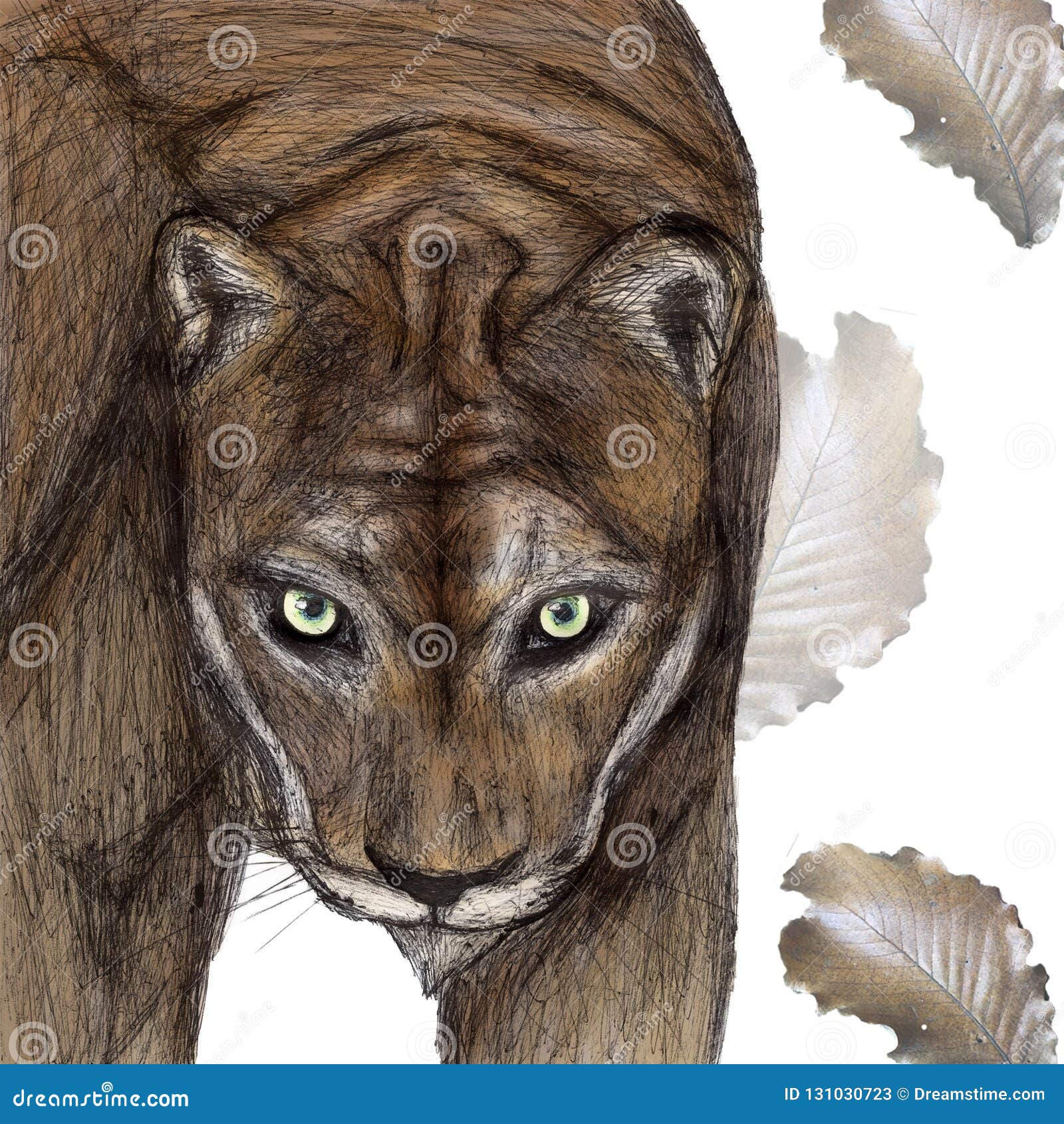 Pumaillustration Gezeichnet Mit Stift Und Digitaler Farbe Stock ...