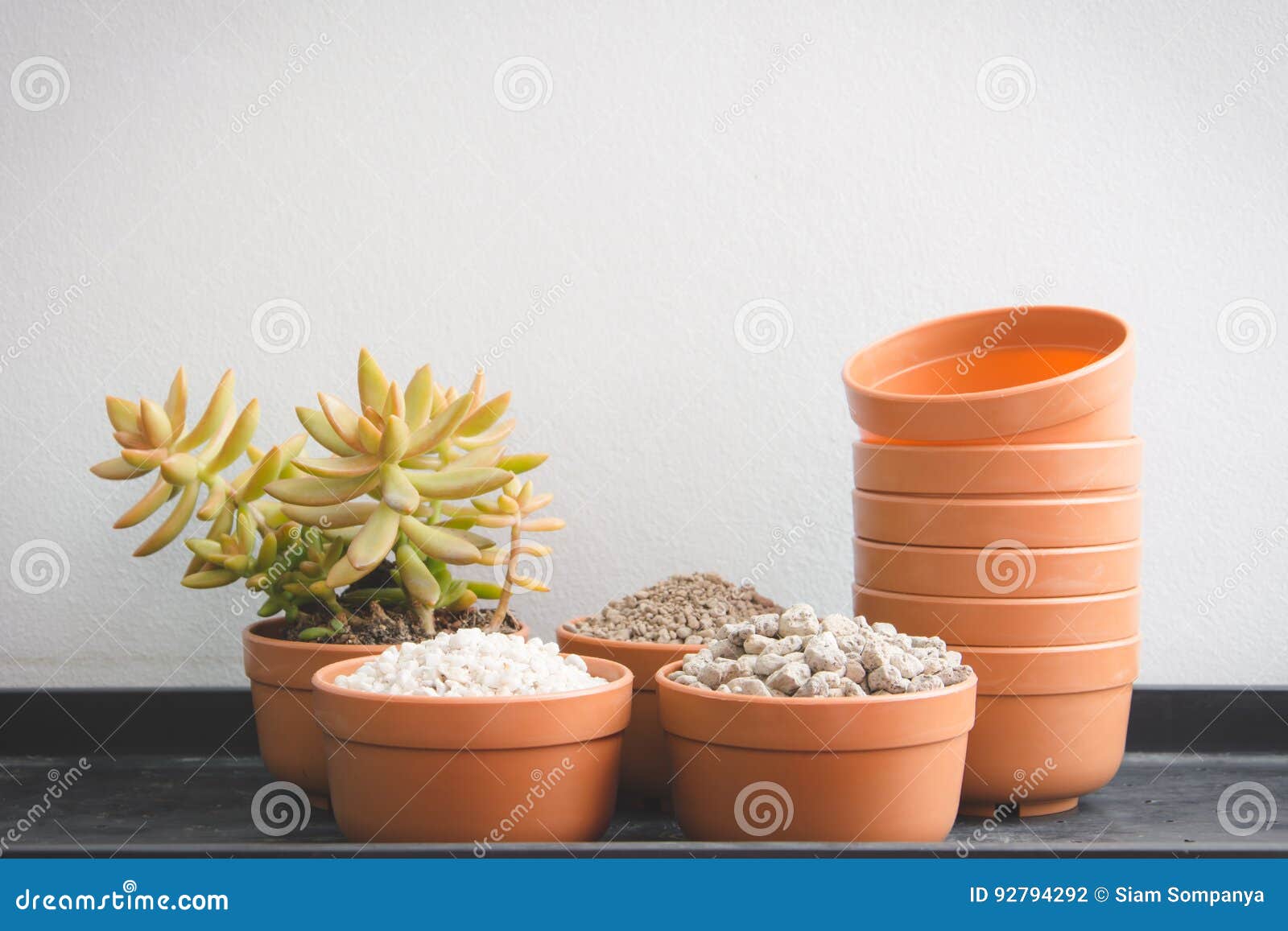 Pumice Pebbles in Cray Pot and Gardening Tool Stock Photo - Image of ...