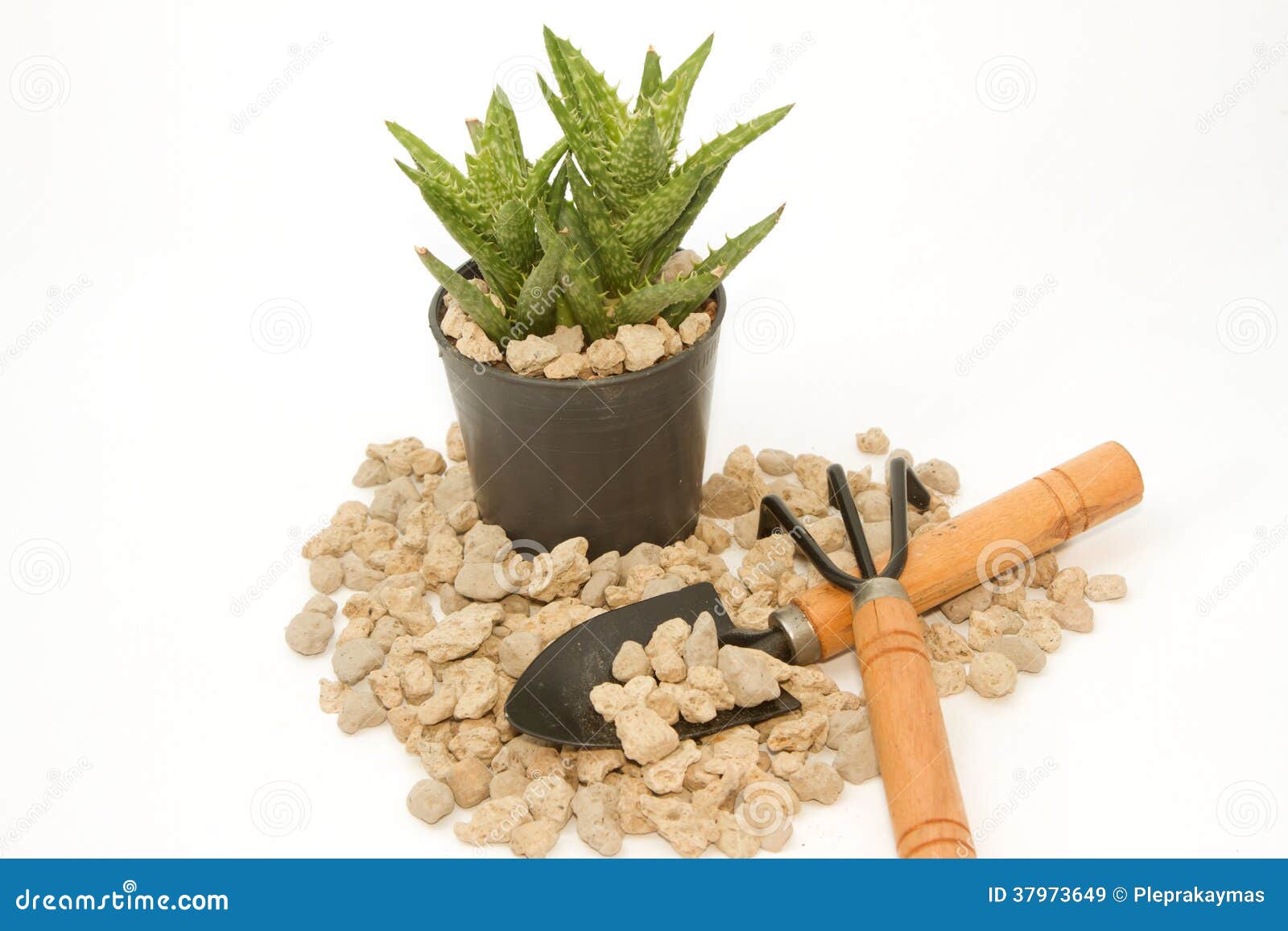 Pumice Pebbles in Cray Pot and Gardening Tool Stock Image - Image of ...