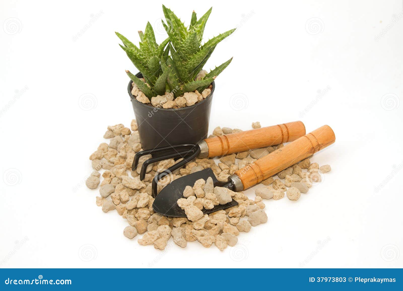 Pumice Pebbles in Cray Pot and Gardening Tool Stock Image - Image of ...
