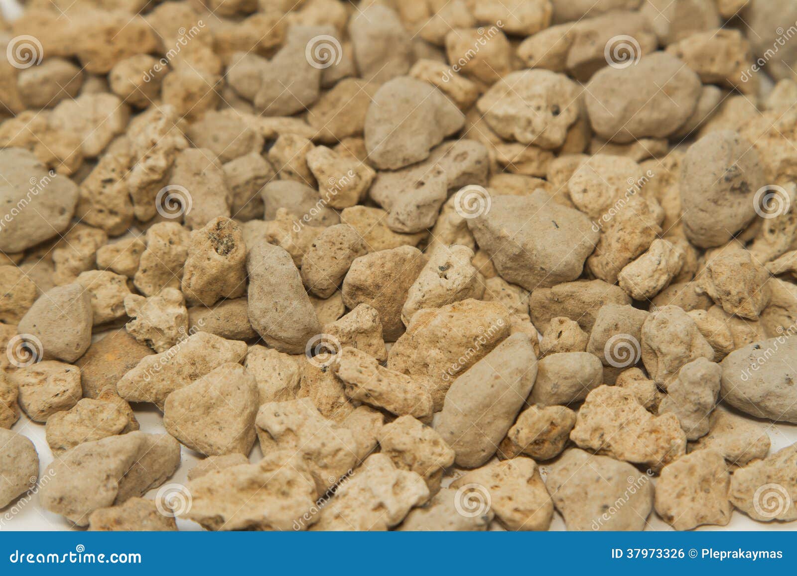 Pumice Pebbles ( Lightweight Volcanic Rock ) Stock Photo - Image of ...