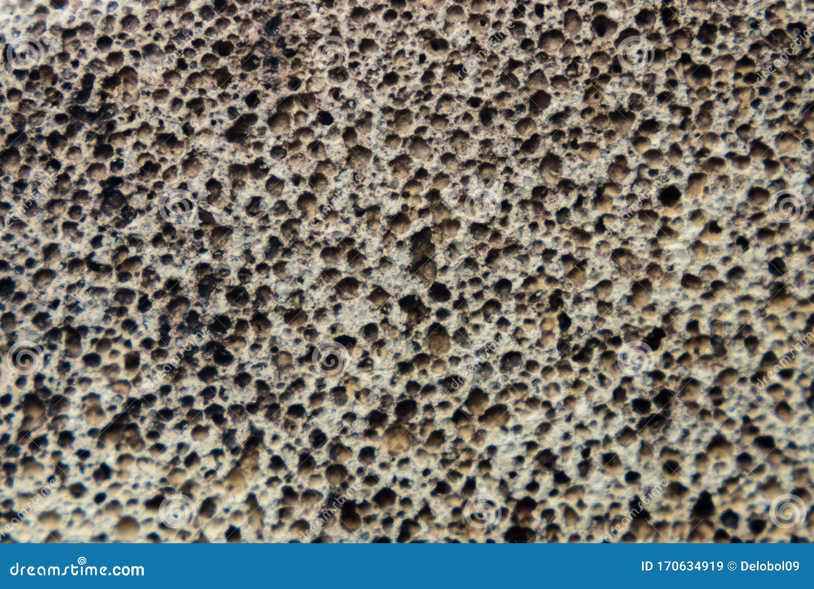 Pumice Stone is a Natural Grey Porous Stone Stock Image - Image of hole ...