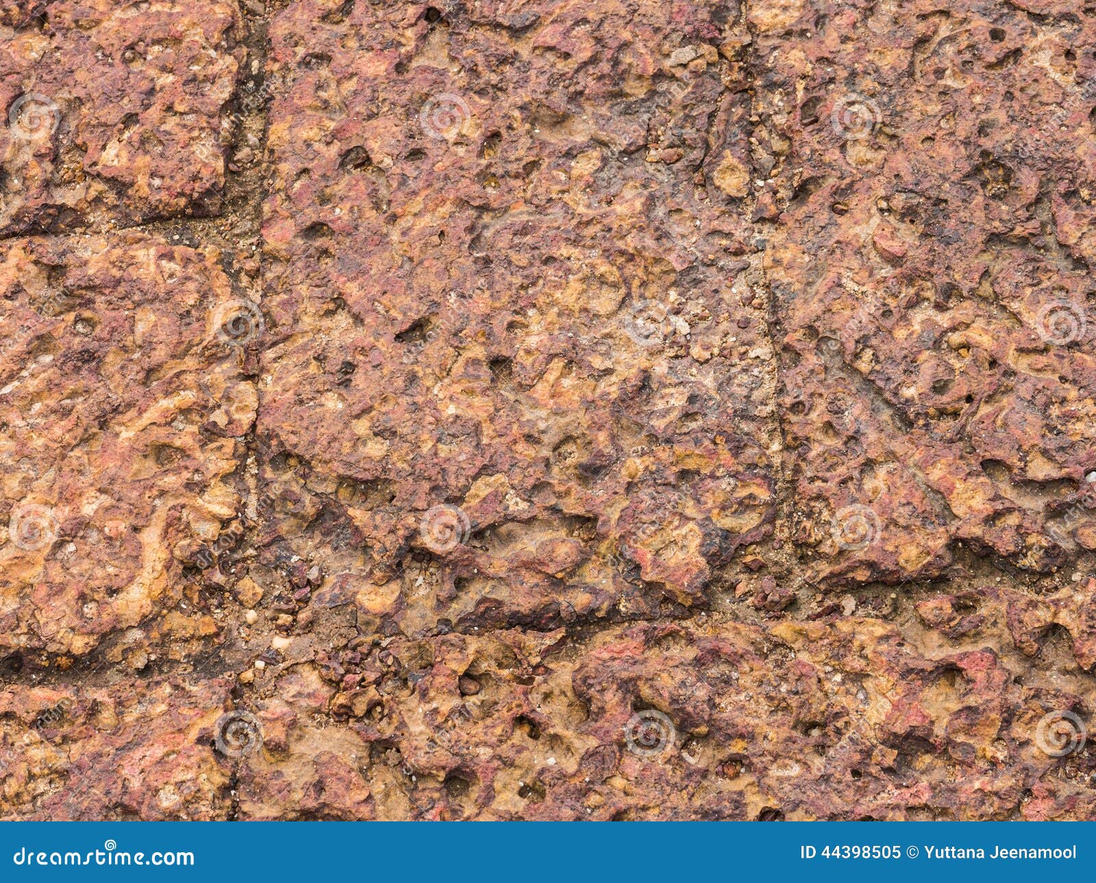 Pumice stone texture stock image. Image of color, perforated - 44398505