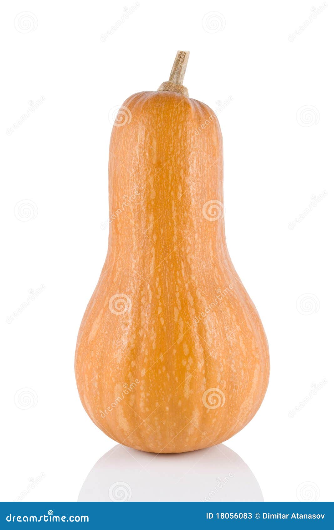 Pumkin stock image. Image of food, object, gourd, nature - 18056083