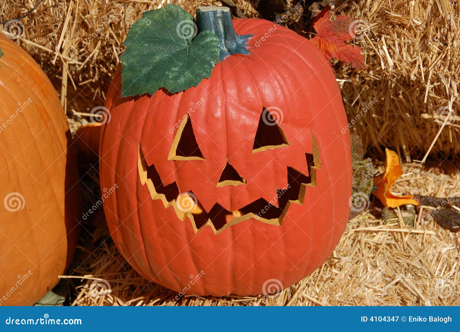 Pumkin Head stock image. Image of food, seasonal, vegetable - 4104347
