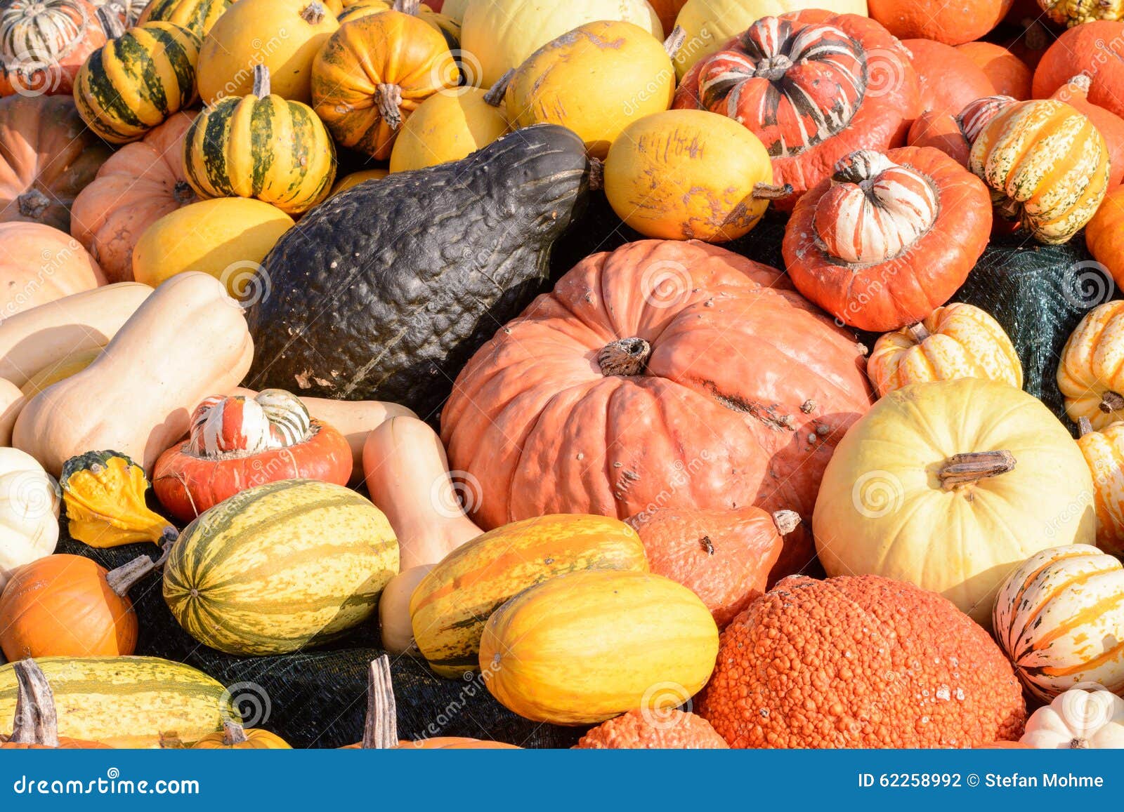 Pumkins stock photo. Image of colored, wallpaper, pumpkin - 62258992