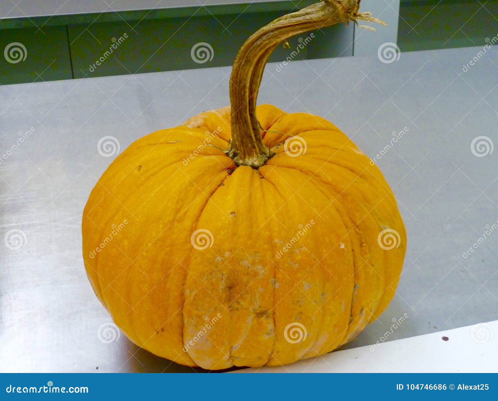 Pumpa arkivfoto. Bild av höst, säsongsbetonat, marknad - 104746686