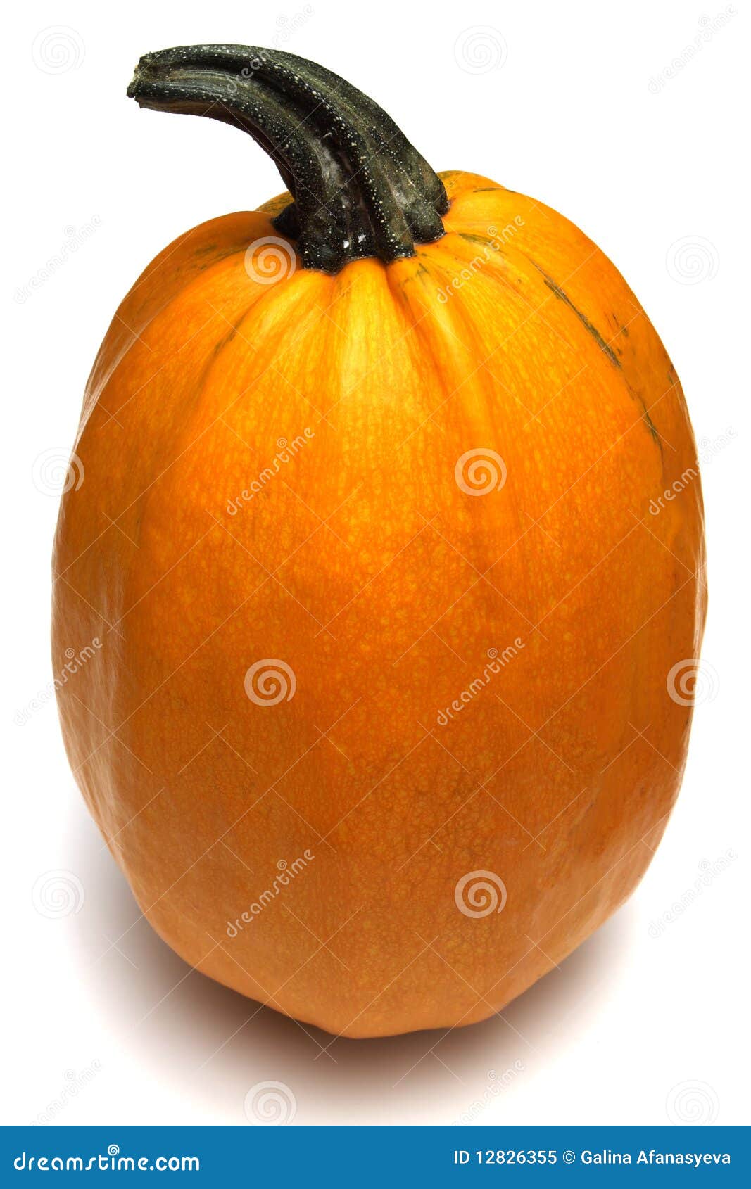 Pumpa fotografering för bildbyråer. Bild av höst, moget - 12826355