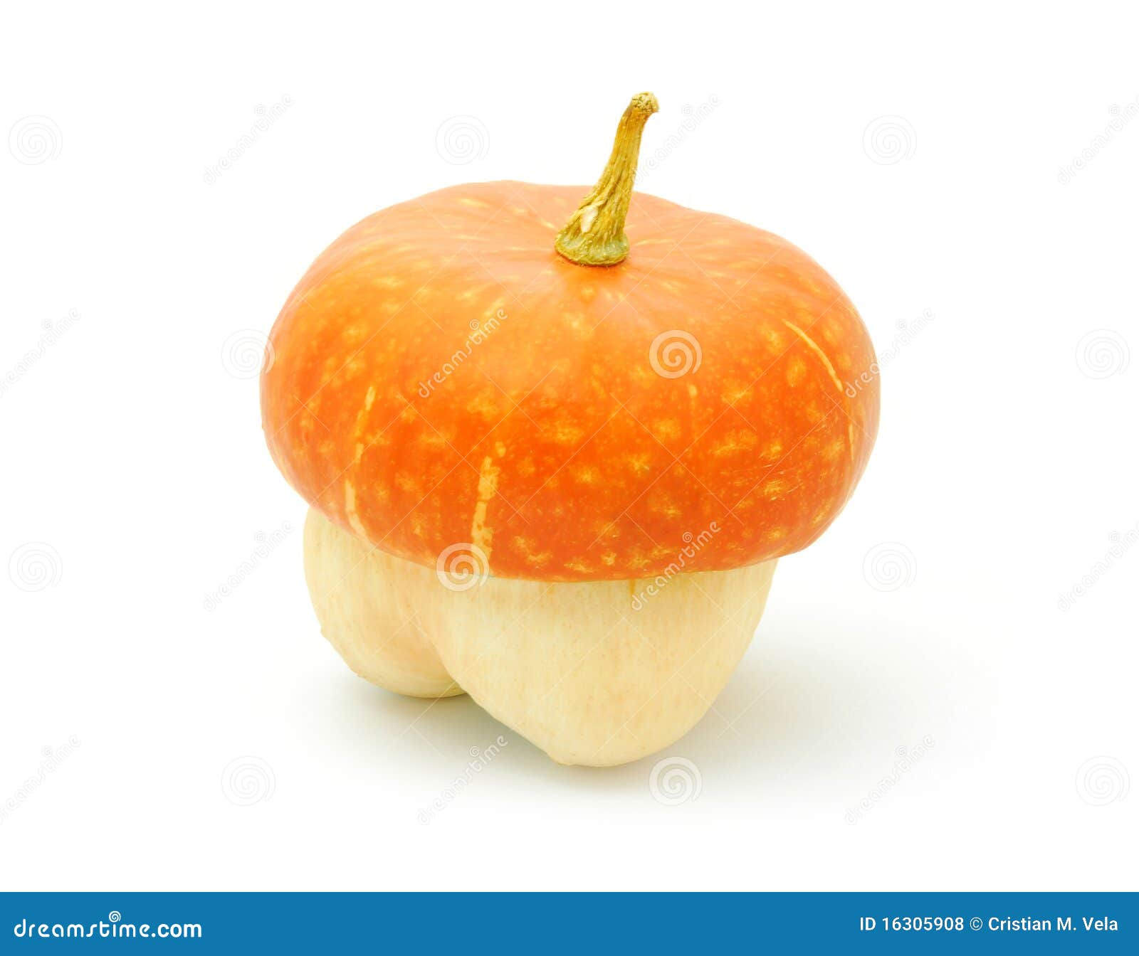 Pumpa arkivfoto. Bild av bakgrund, konstigt, garnering - 16305908