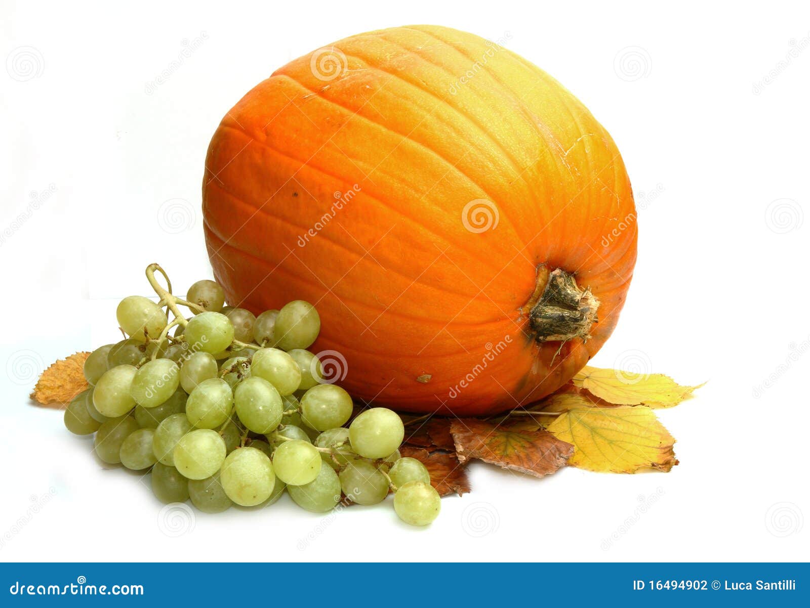 Pumpa arkivfoto. Bild av druva, runt, blad, moget, falla - 16494902