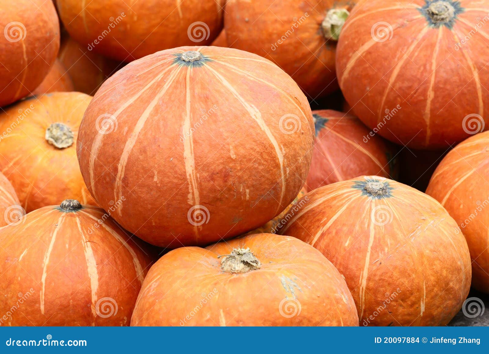 Pumpa arkivfoto. Bild av grönsaker, stänga, stängning - 20097884