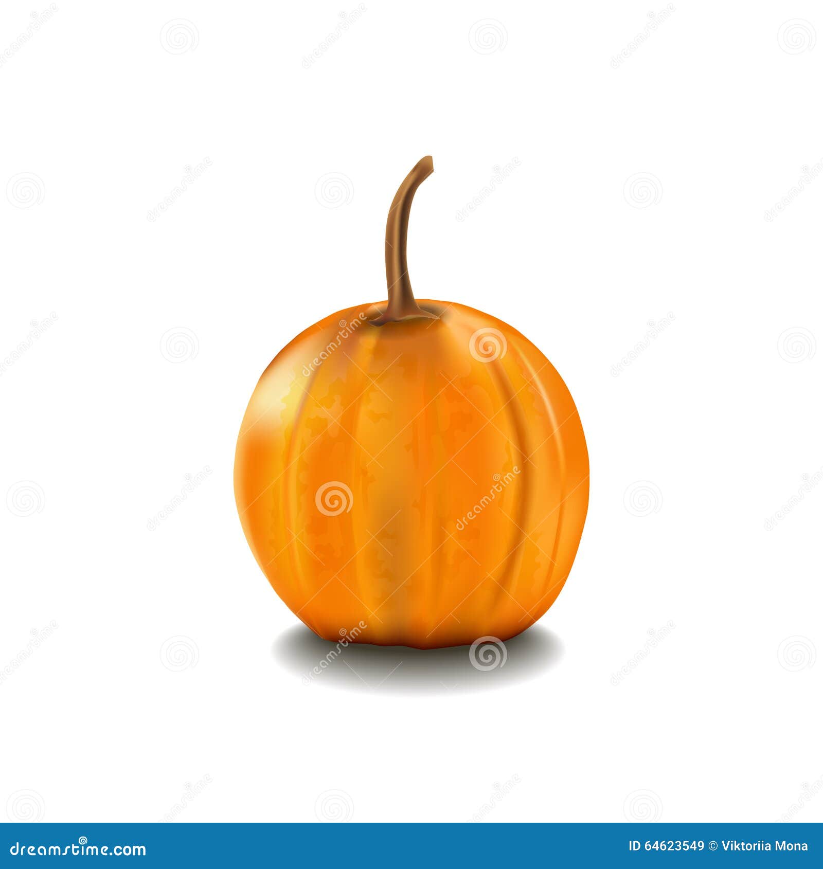 Pumpa vektor illustrationer. Illustration av matlagning - 64623549