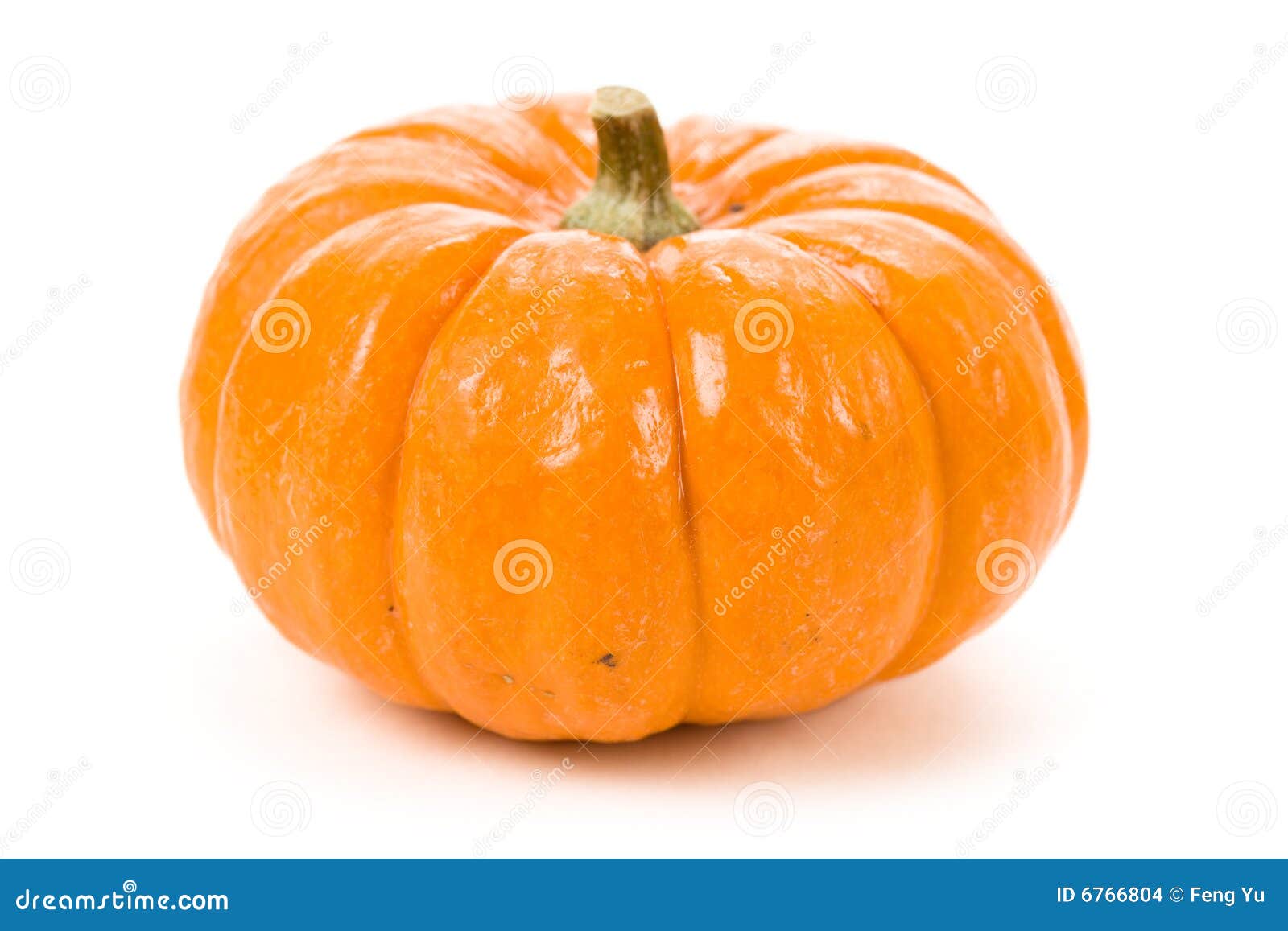 Pumpa arkivfoto. Bild av vitt, orange, grönsak, halloween - 6766804
