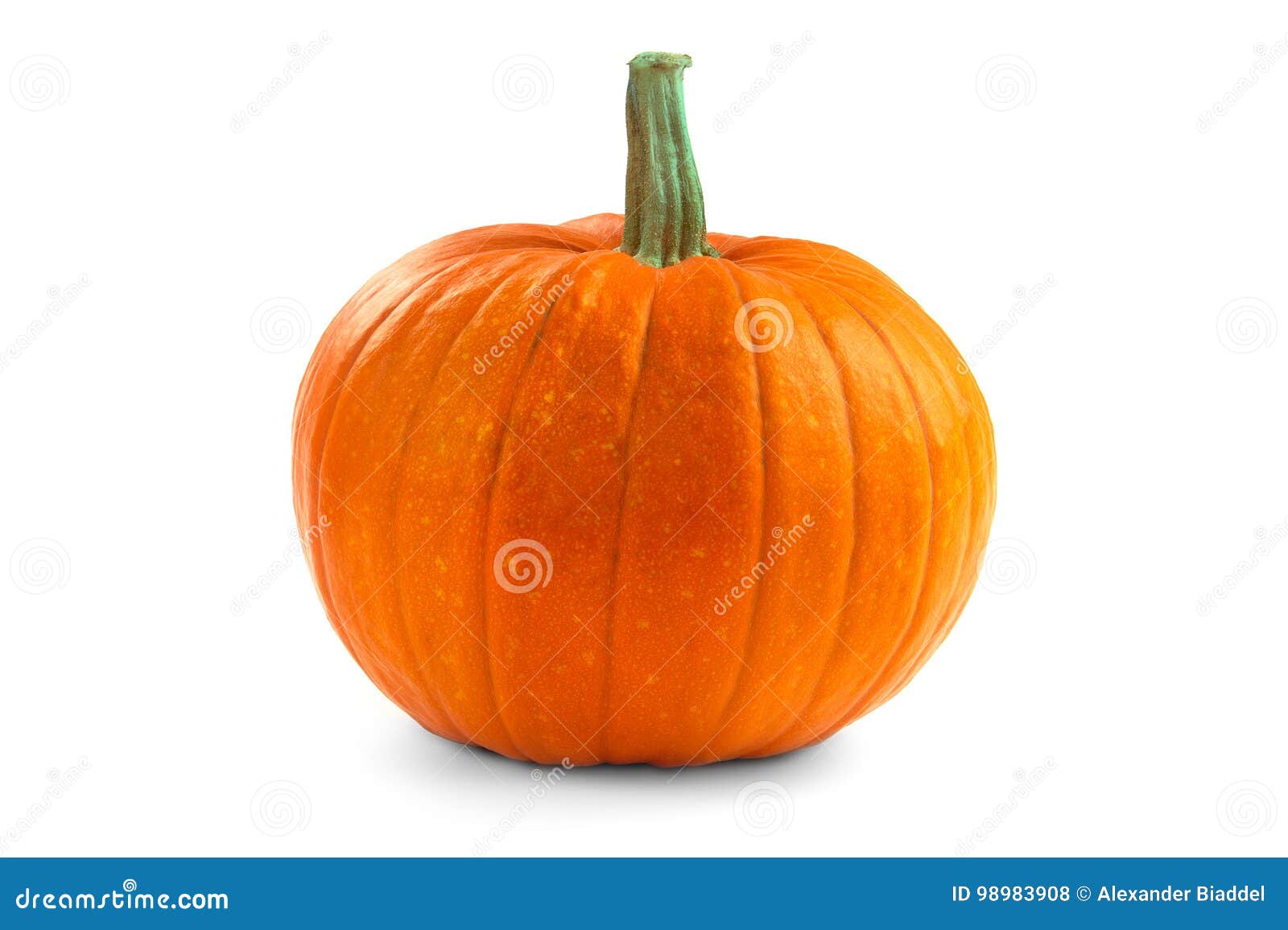 Pumpa arkivfoto. Bild av garnering, pumpa, squash, ferie - 98983908